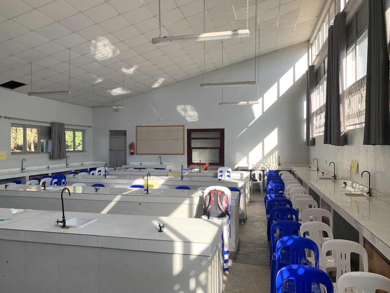 Ntare School - The Lion Roars